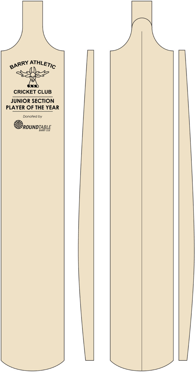 Buy Premium Cricket Bat Labels 🏏 Worldwide, Fast Delivery 📦