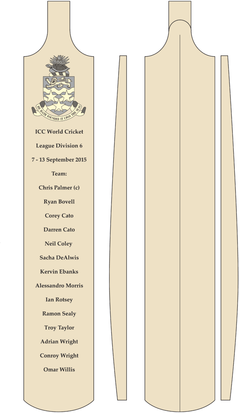 Buy Premium Cricket Bat Labels 🏏 Worldwide, Fast Delivery 📦